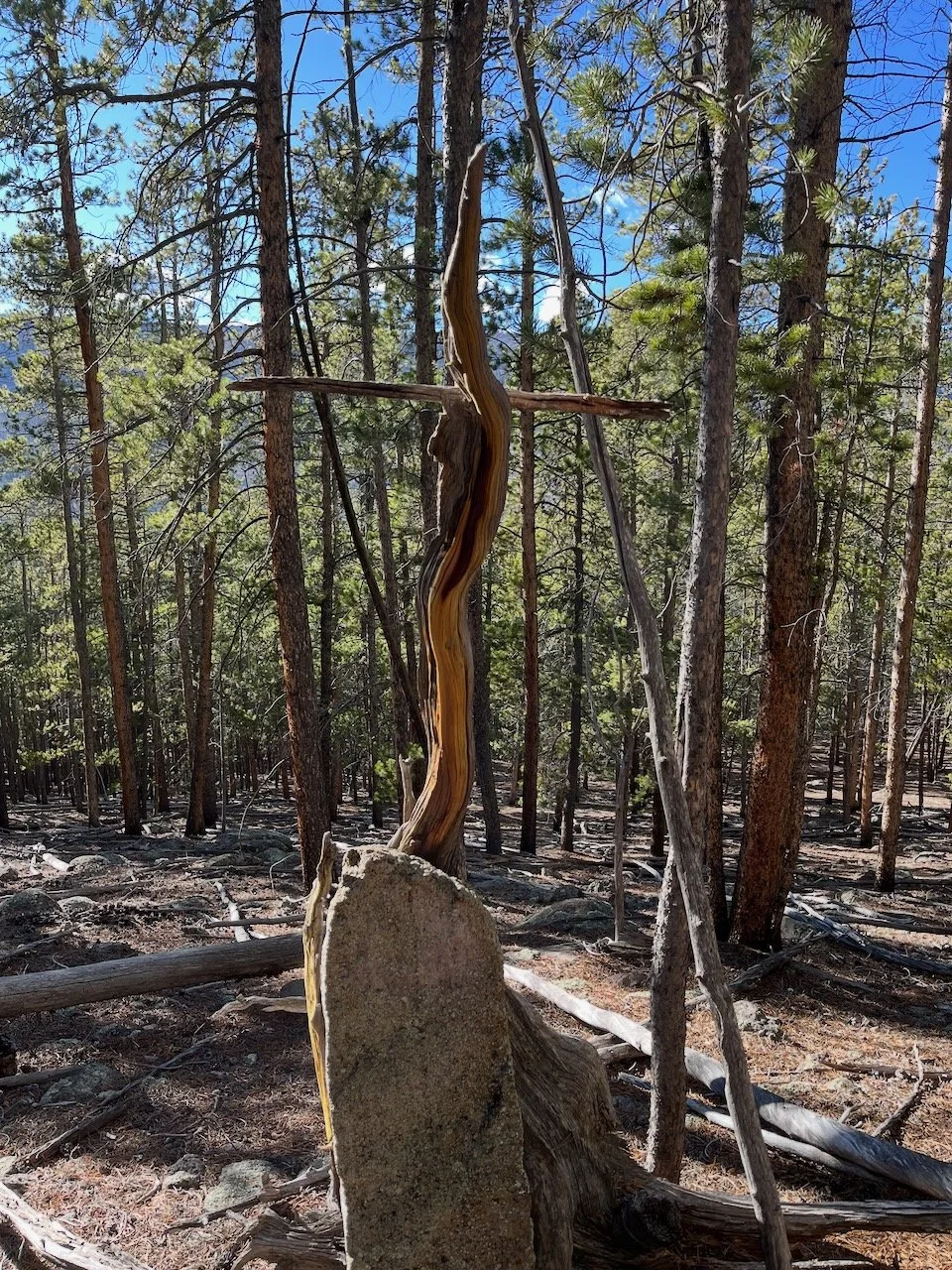 The Cross in the Wood — Robbie Pruitt